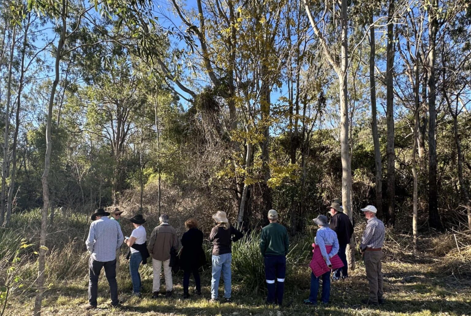 Yarn on a Farm at Bilyana Cottages combines with National Tree Day ...
